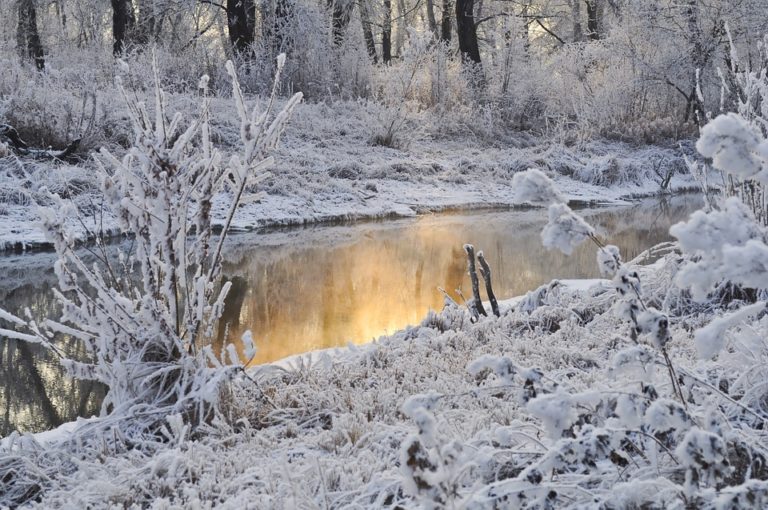 Hard Freeze Preparation In Southern U.S. · Major Gates